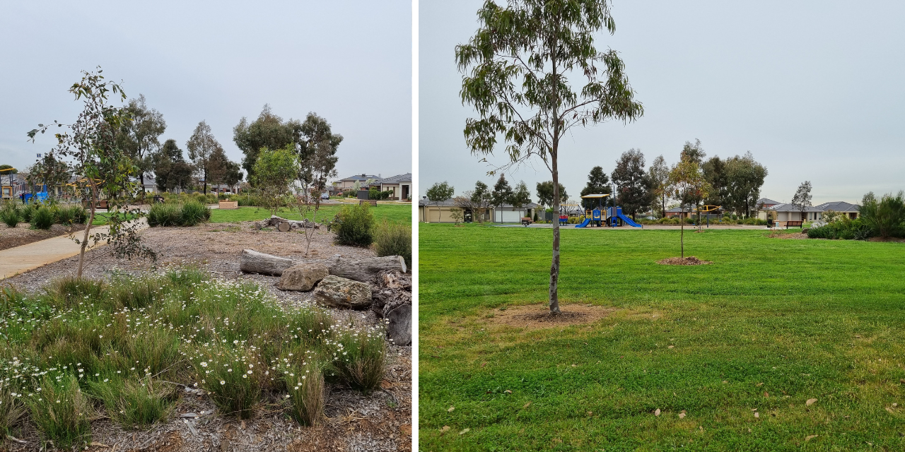 Wilandra Drive Park | The Loop