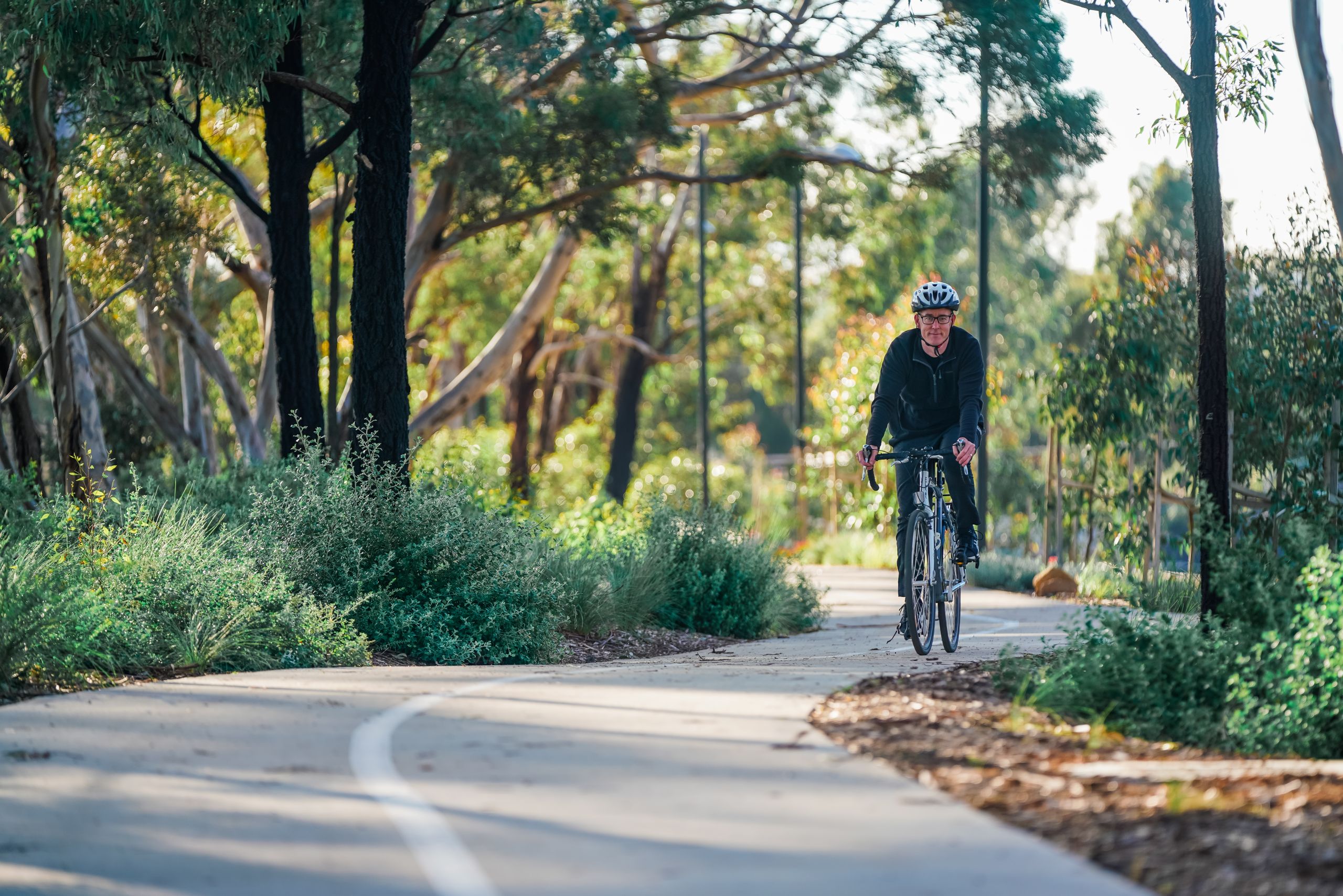 Manor Lakes Active Open Space | The Loop